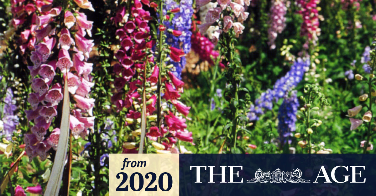 Plotlines: Landscape awards